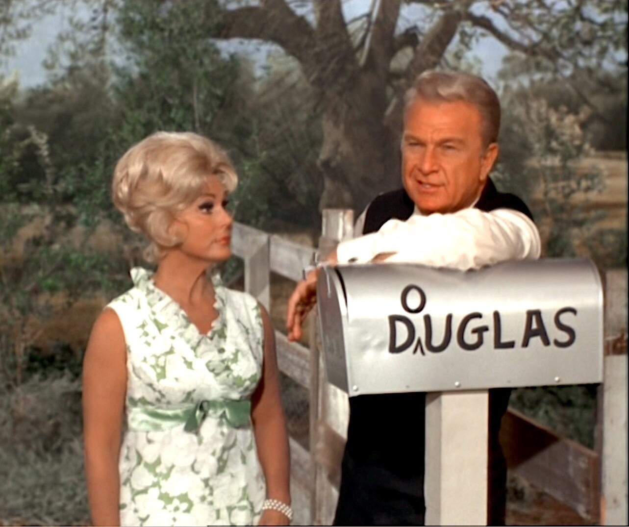 Green Acres TV Cast Studio Photo Vintage Wall Decor - Etsy