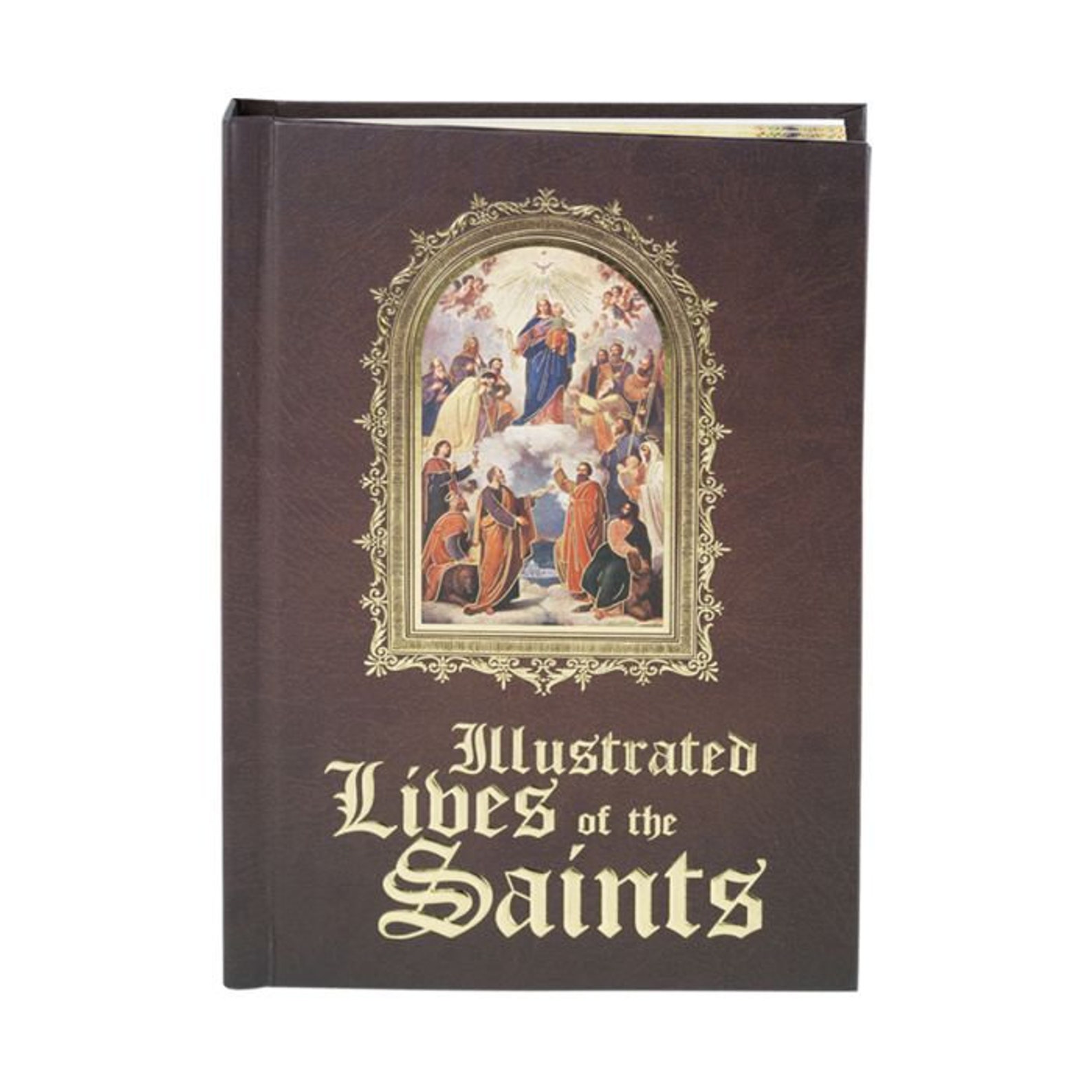 Catholic Saints Illustrated Lives of the Saints Book Catholic - Etsy