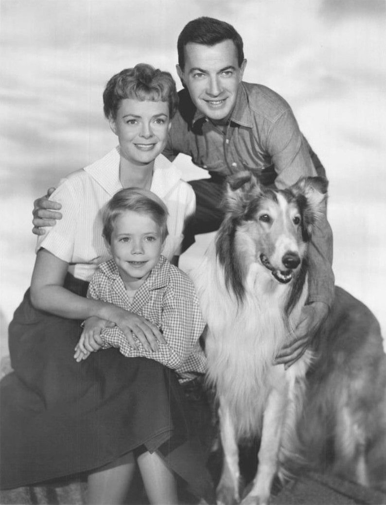 Lassie TV Show June Lockhart Studio Photo Poster Framing Print Vintage ...