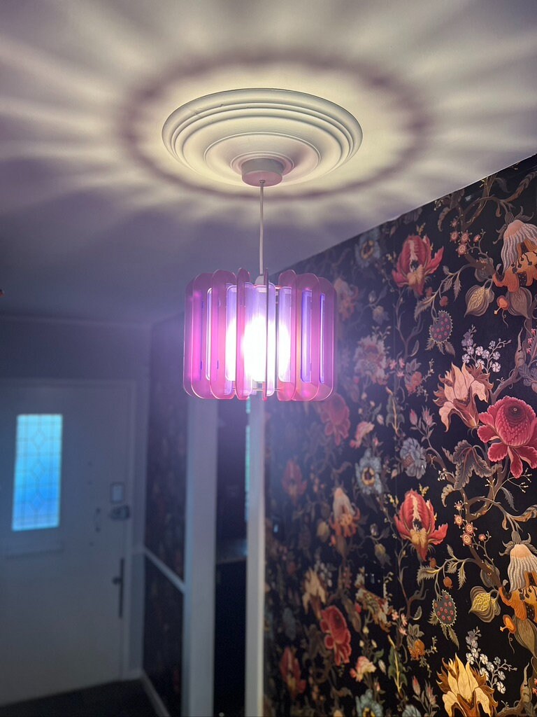 Opium Poppy Pendant Lamp Shade: Plum & Violet Acrylic, Mid-century ...