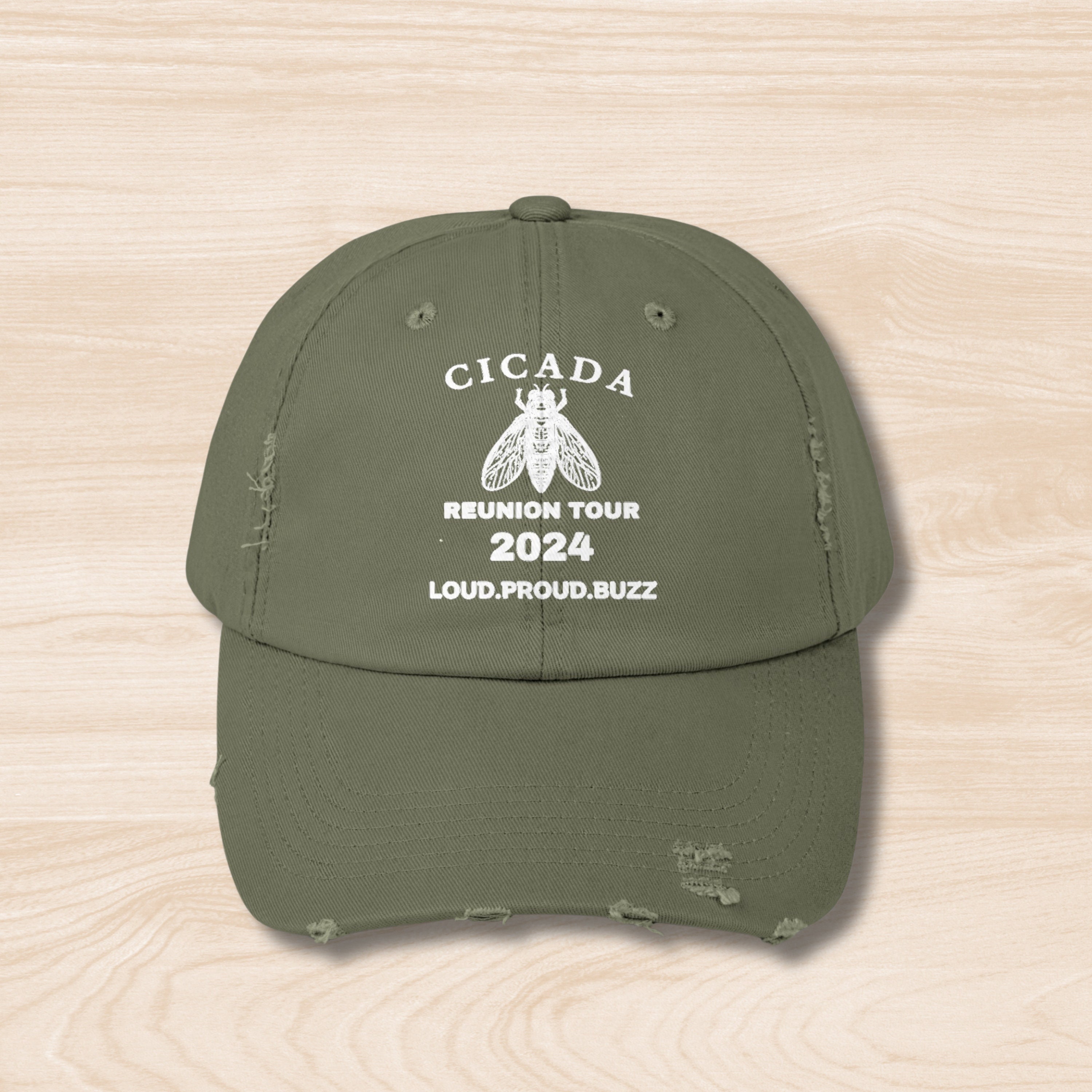 2024 Cicada Hat Reunion Tour Gift for Her Unisex Distressed Cap - Etsy