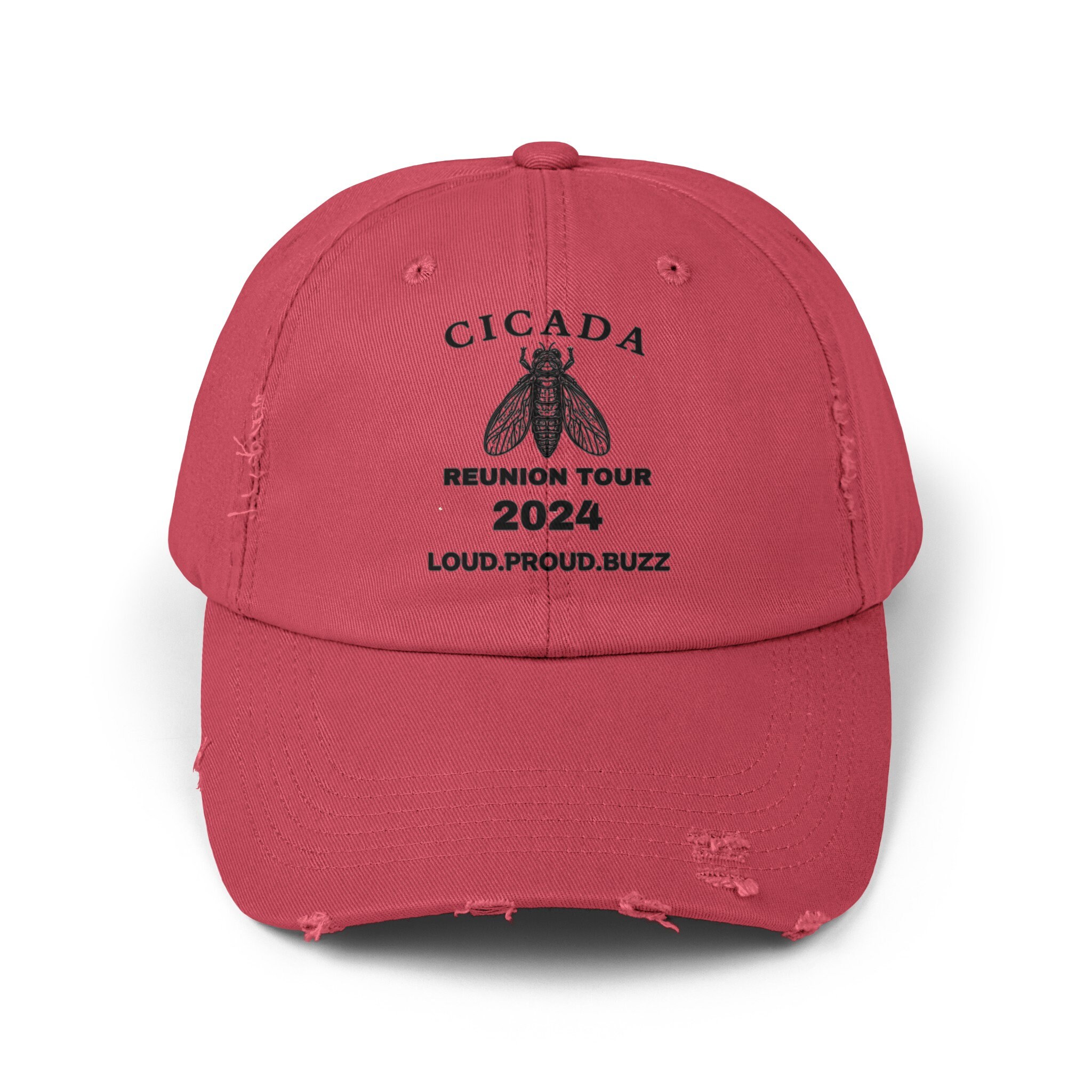2024 Cicada Hat Reunion Tour Gift for Her Unisex Distressed Cap - Etsy