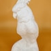 Cockatoo - Slip Cast Ceramic Bisqueware - Ready to Paint - Unfinished ...