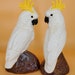Cockatoo - Slip Cast Ceramic Bisqueware - Ready to Paint - Unfinished ...