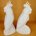 Cockatoo - Slip Cast Ceramic Bisqueware - Ready to Paint - Unfinished ...