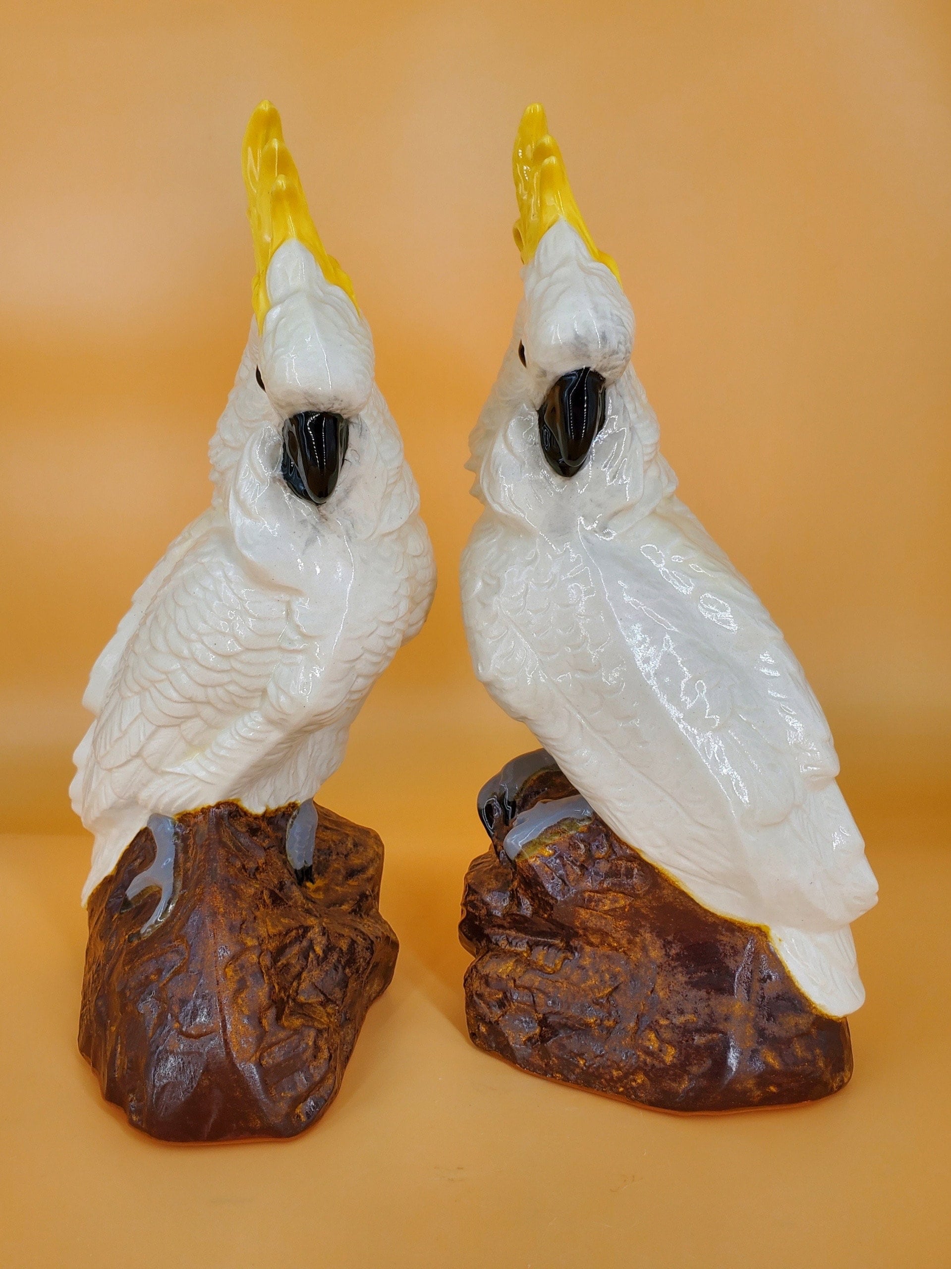 Cockatoo Slip Cast Ceramic Bisqueware - Etsy