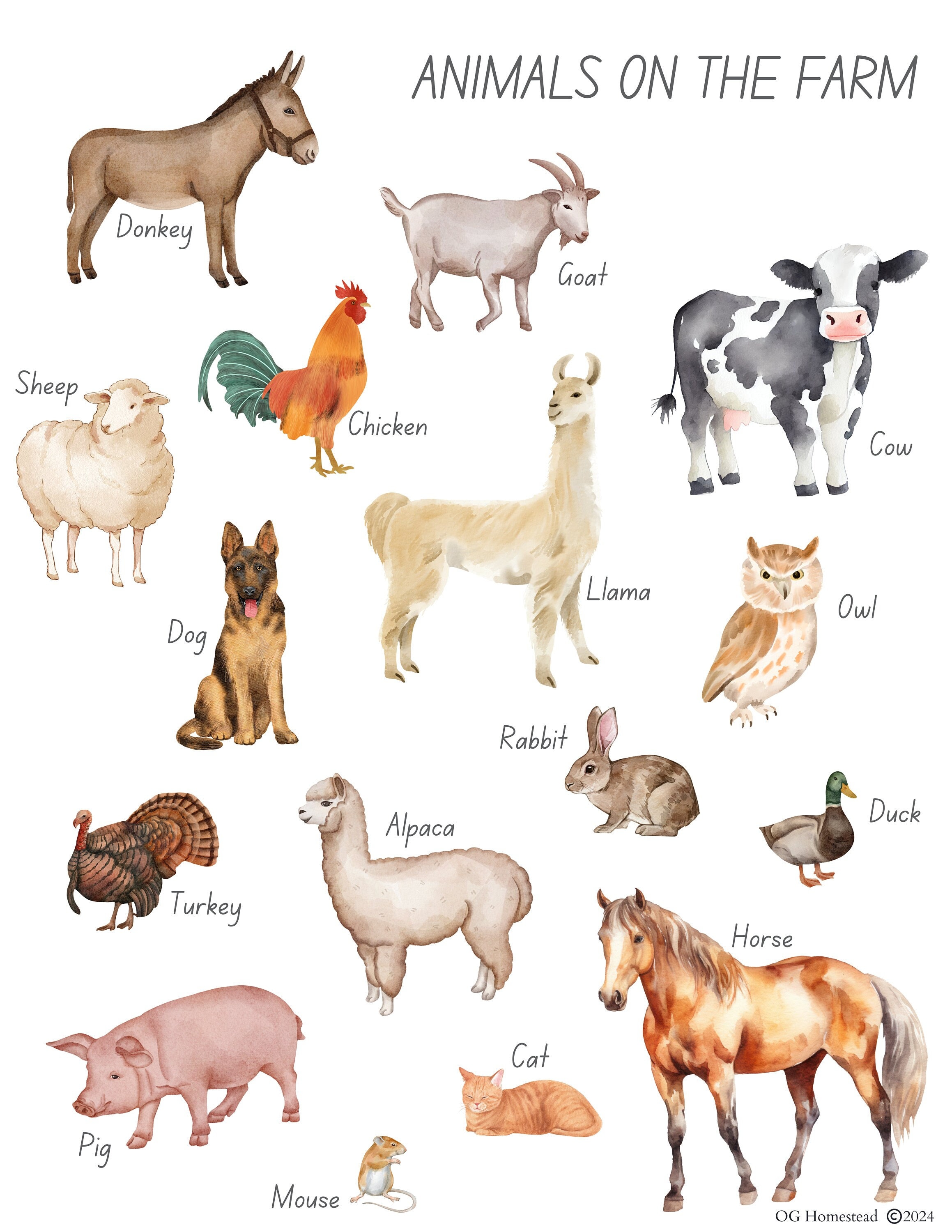 Animals on the Farm - Print - Etsy