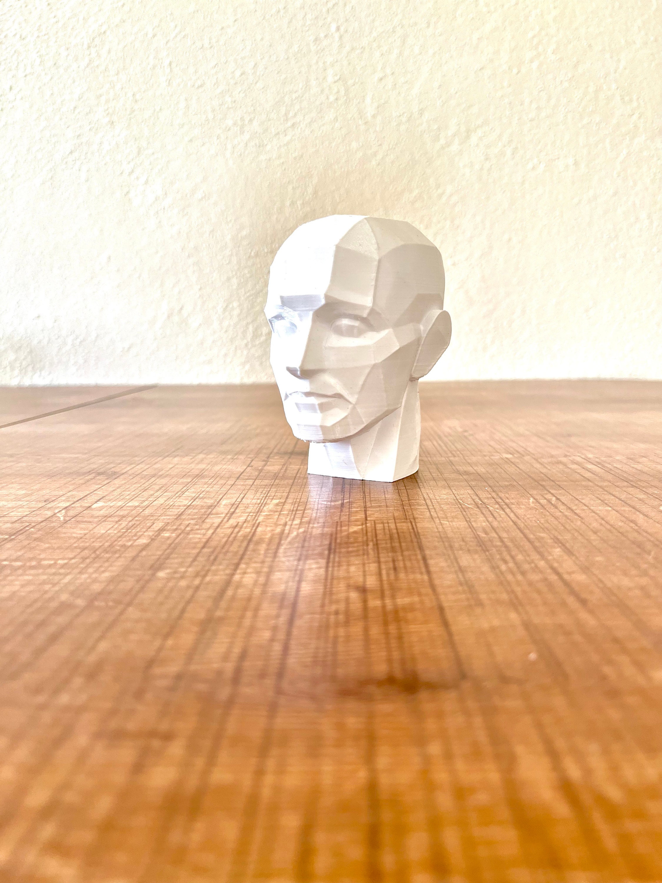 Bestseller 3D Print Planar Head Model for Portrait Study and Learning ...