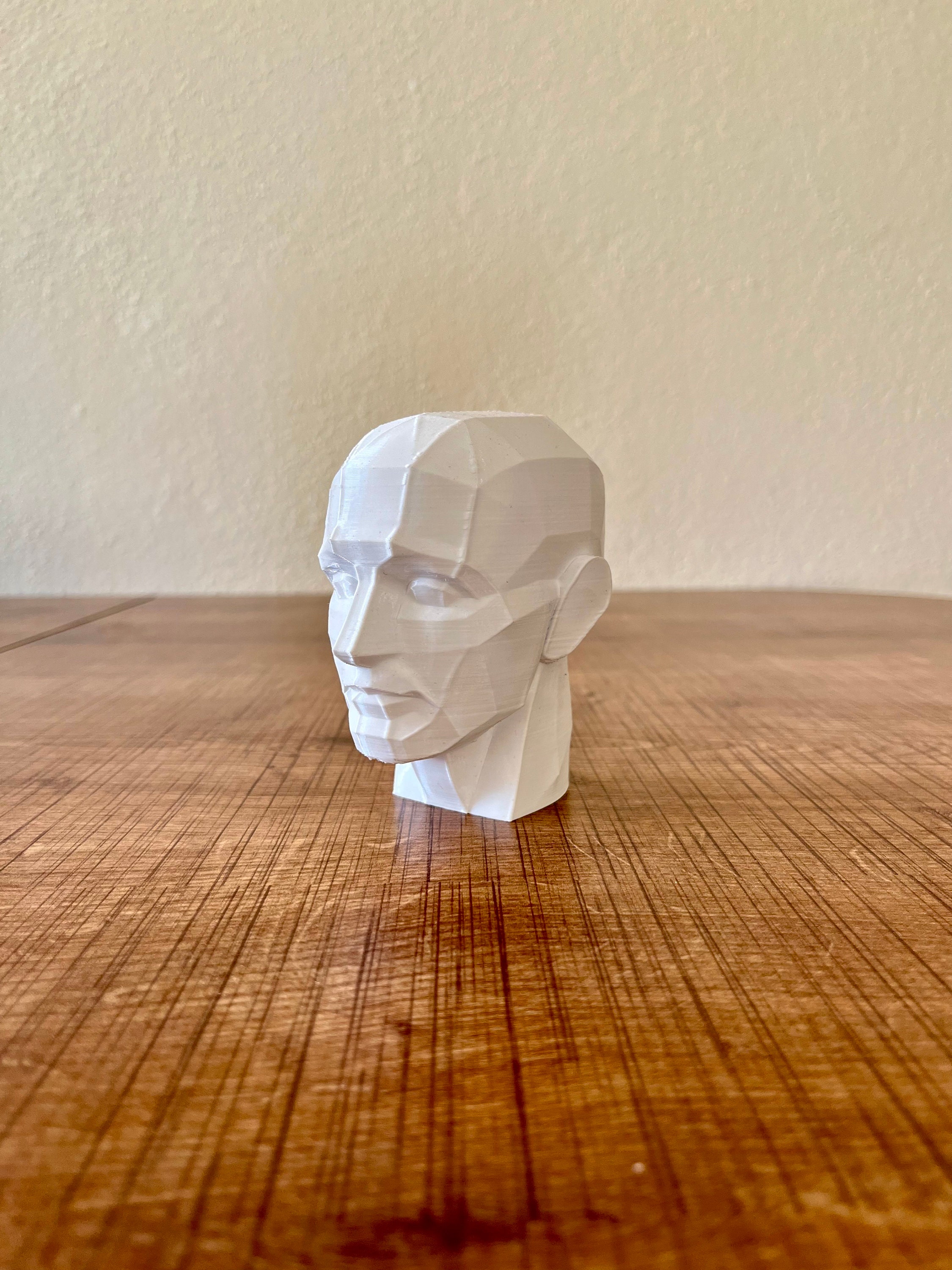 Bestseller 3D Print Planar Head Model for Portrait Study and Learning ...