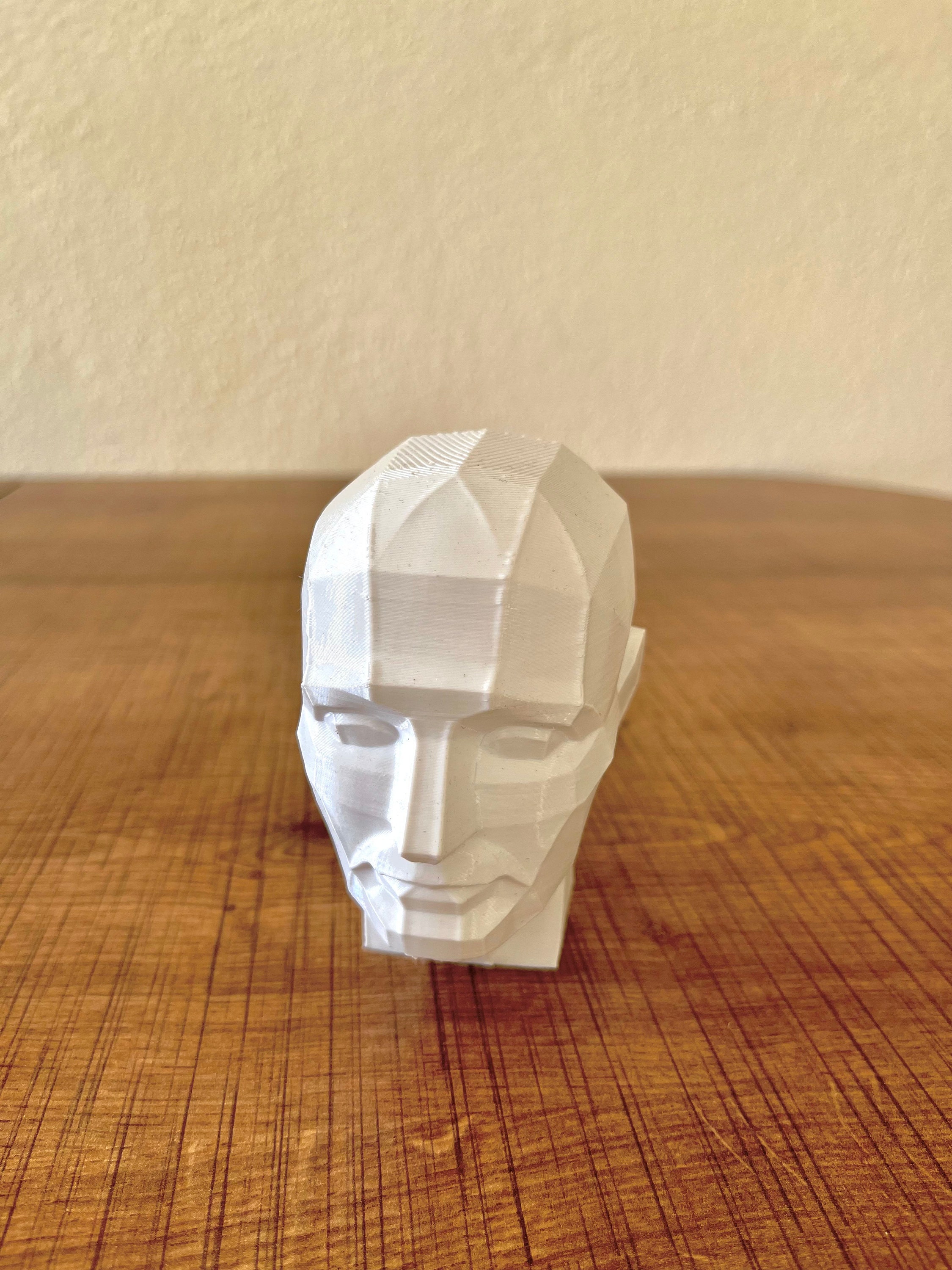 Bestseller 3D Print Planar Head Model for Portrait Study and Learning ...