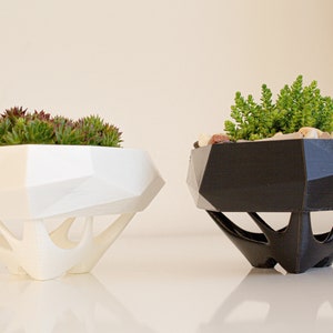 Indoor 3d Printed Planter Modern Futuristic Organic Shape Pot Eco ...