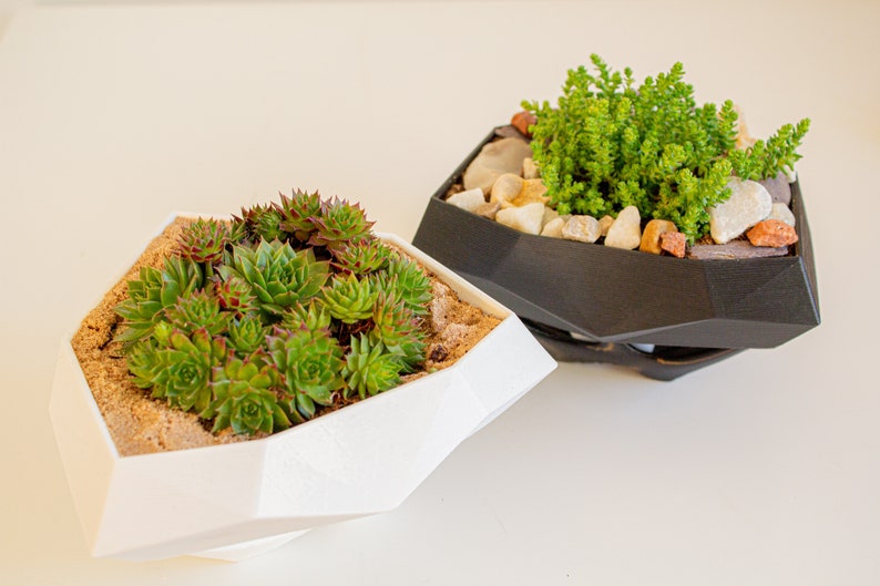 Indoor 3d Printed Planter Modern Futuristic Organic Shape Pot Eco ...