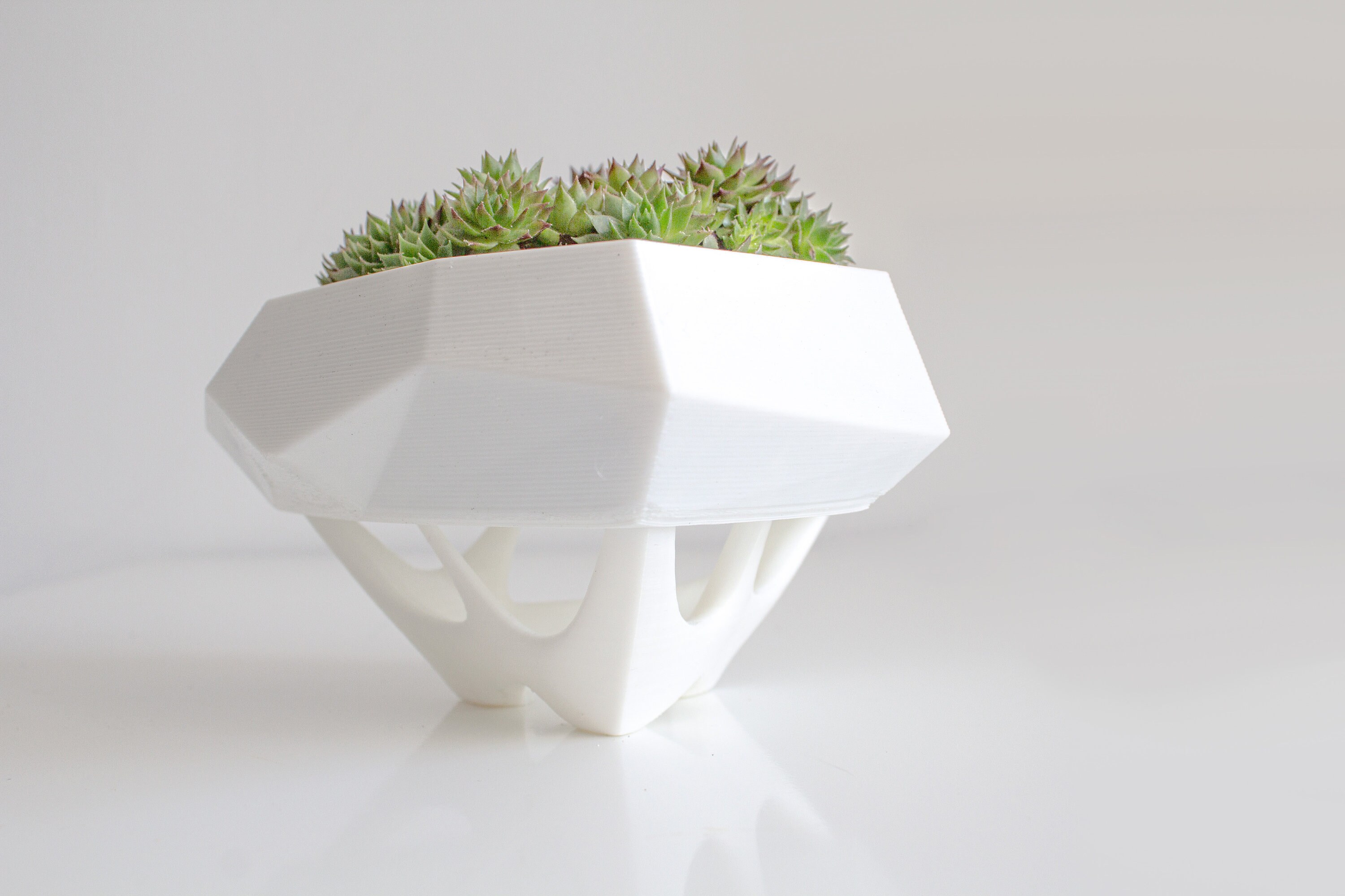 Indoor 3d Printed Planter Modern Futuristic Organic Shape Pot Eco ...
