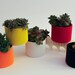 Set of 5 Indoor Small Planters Multiple Mix Colours Pots for - Etsy