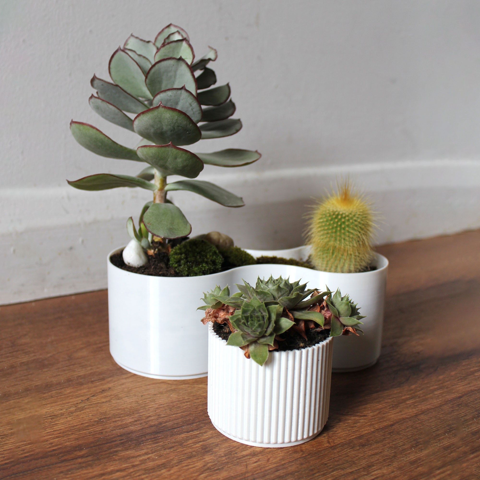 Stylish 3D Printed Plant Pot: Enhance Your Green Space With Modern ...