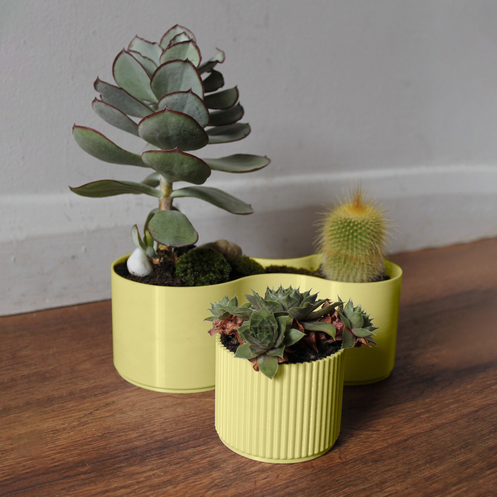 Stylish 3D Printed Plant Pot: Enhance Your Green Space With Modern ...