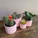 Enchanting Set of 4 Pink Indoor Planters - A Perfect Gift for Plant ...
