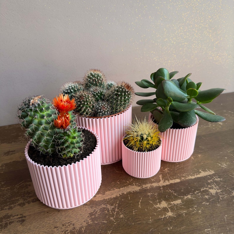 Enchanting Set of 4 Pink Indoor Planters - A Perfect Gift for Plant ...