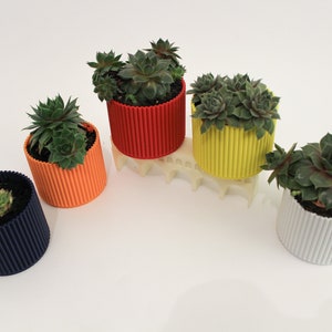 Set of 5 Indoor Small Planters Multiple Mix Colours Pots for Plant ...