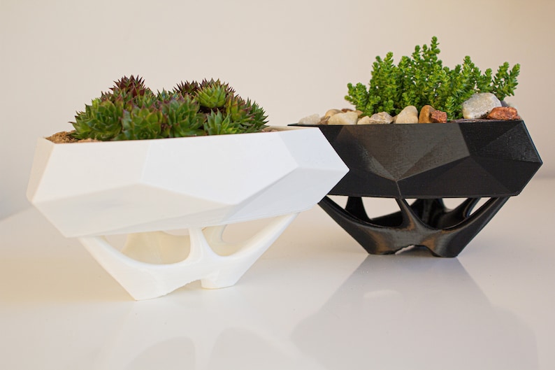 Indoor 3d Printed Planter Modern Futuristic Organic Shape Pot Eco ...
