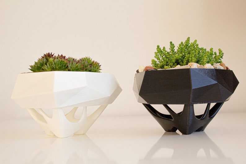 Indoor 3d Printed Planter Modern Futuristic Organic Shape - Etsy