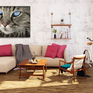 Cat With Blue Eyes : Stretched Canvas, Rolled Paper and Framed Print ...