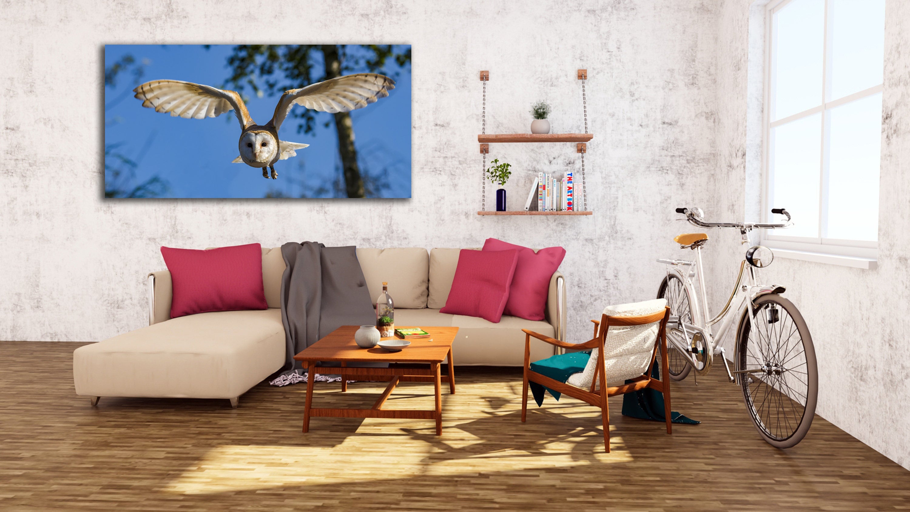 Barn Owl in Flight : Stretched Canvas, Rolled Paper and Framed Print ...