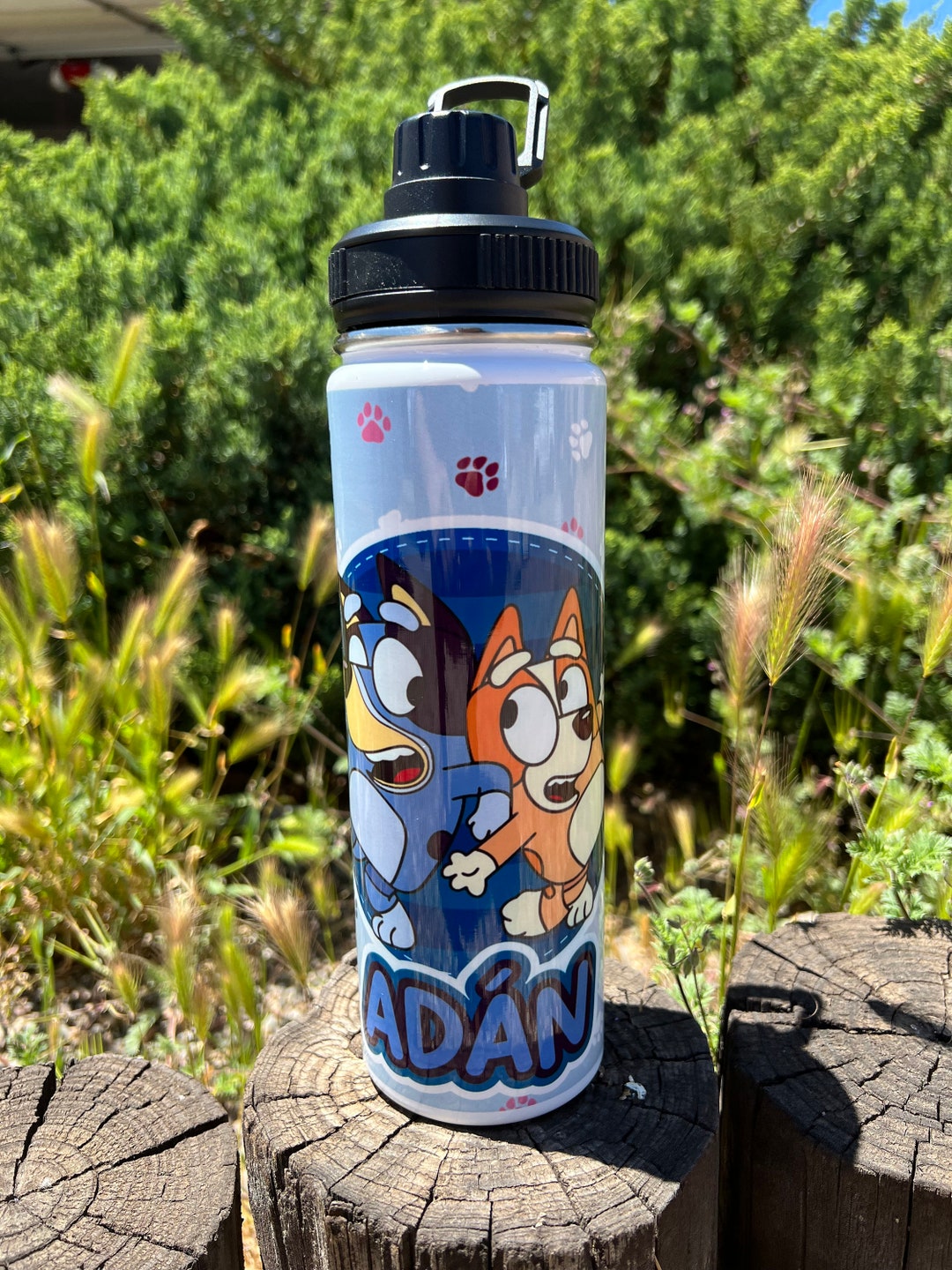Bluey Themed Personalized 22 Oz Double Wall Insulated Water Bottle - Etsy