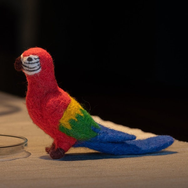 Needle Felted Parrot - Etsy
