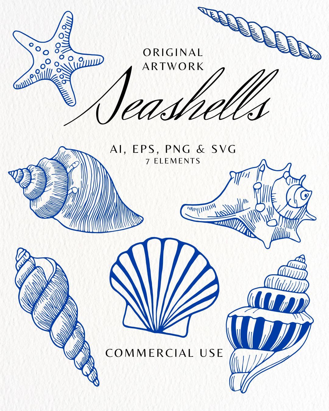 Blue Seashells Line Art Clipart Hand Drawn Graphic Illustration Fine ...