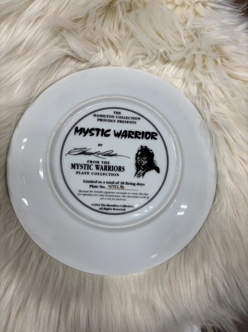 Mystic Warrior Collector’s Plate - Etsy