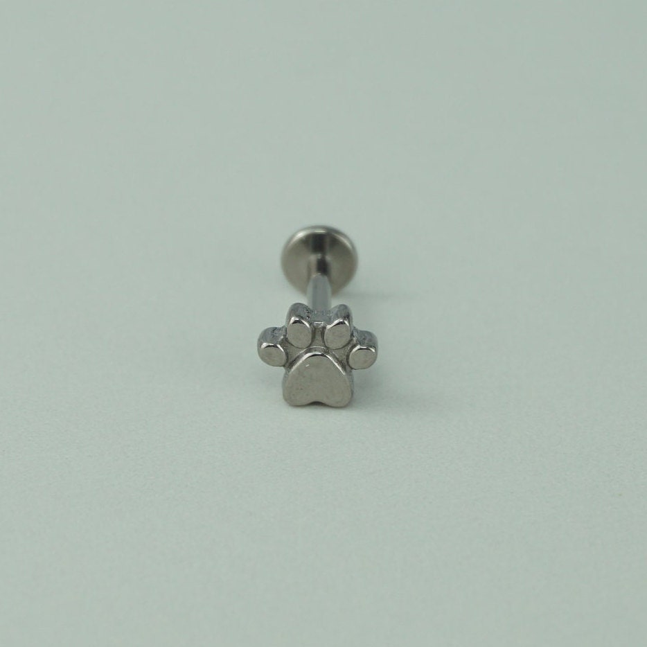 1 Pc of Tiny Paws Stud Earring in Stainless Steel, Extra Small Internal ...