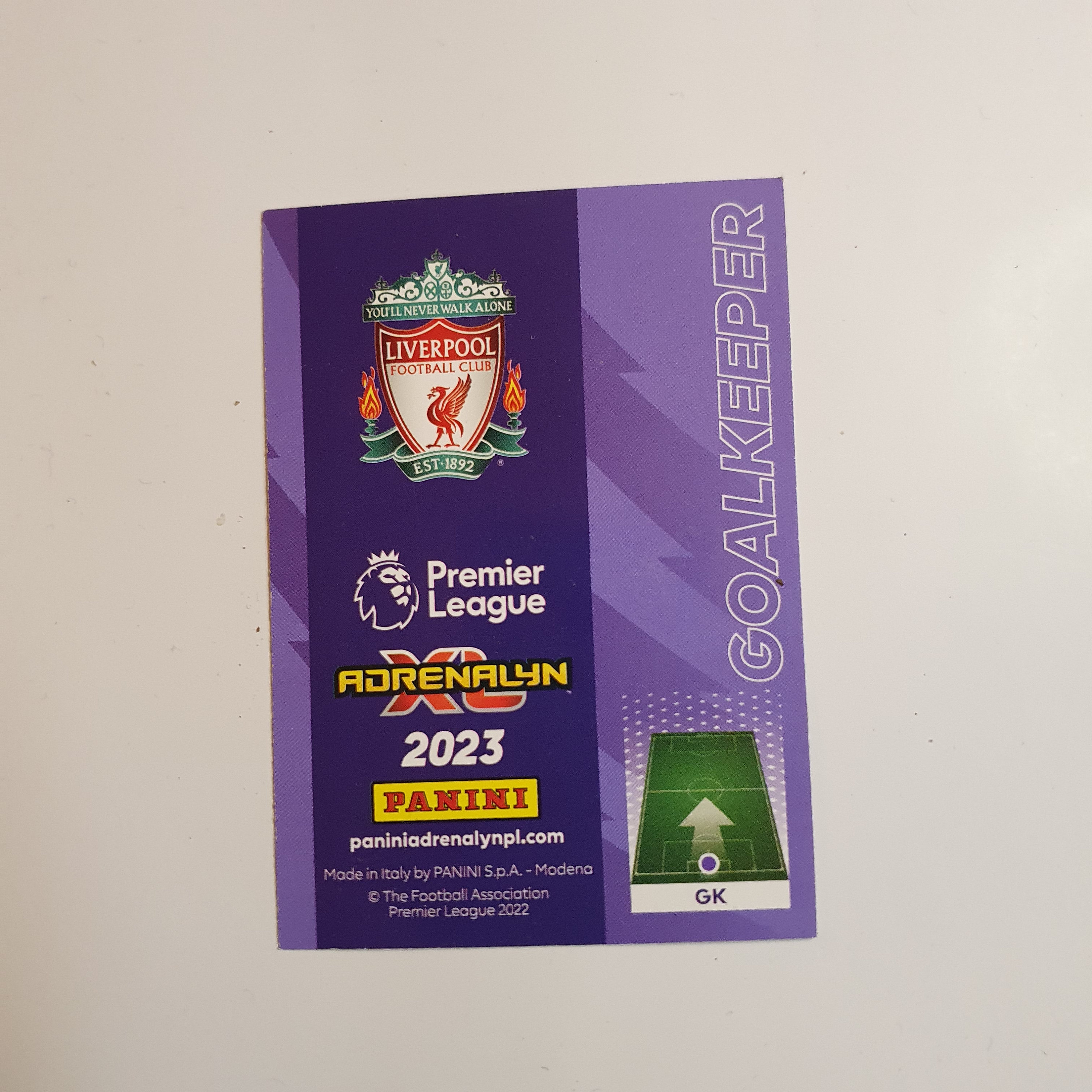 Football Cards Premier League PANINI - Etsy UK