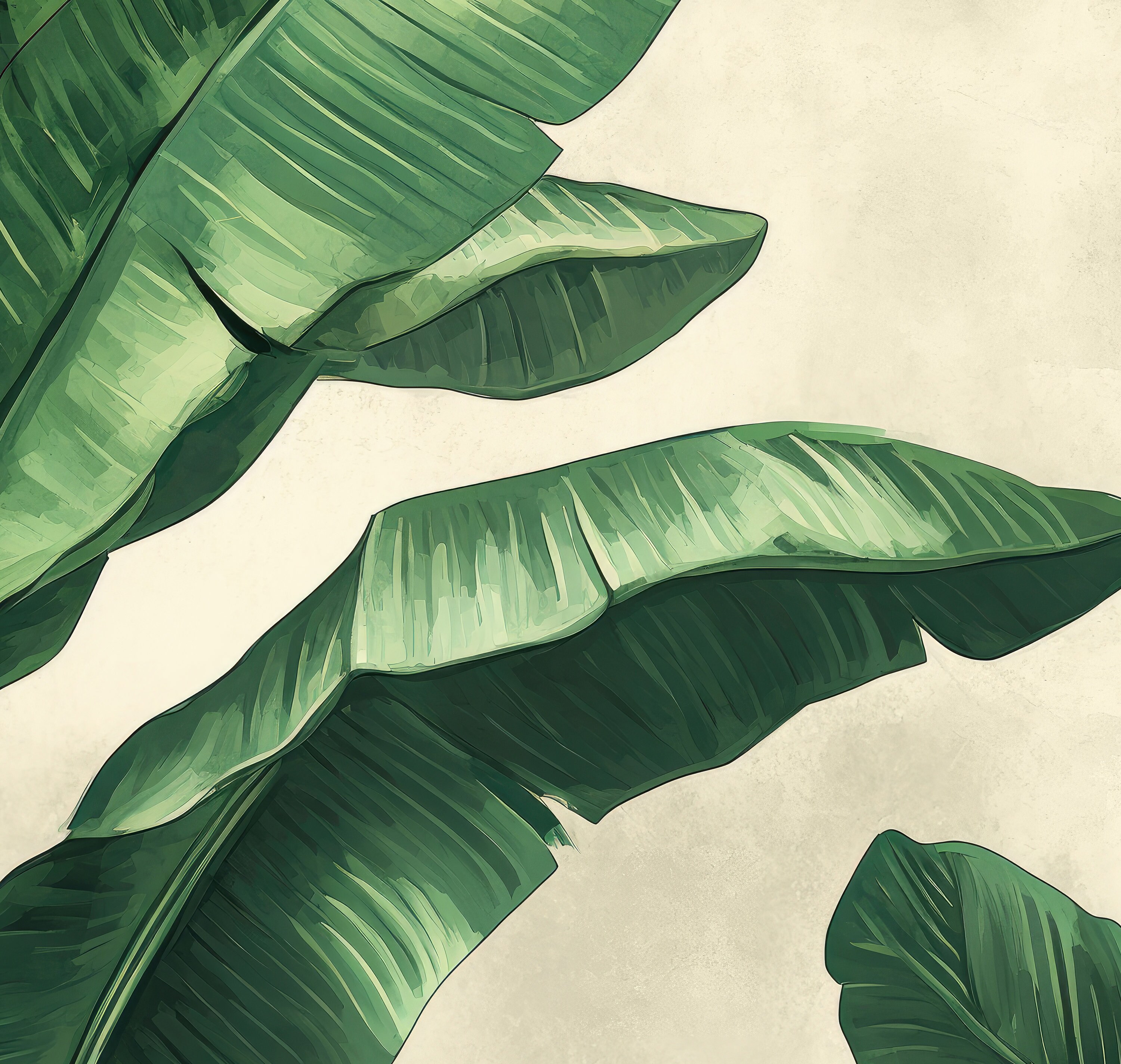 Banana Plant Leave, Botanical Art Print, Banana Leaves Illustration ...