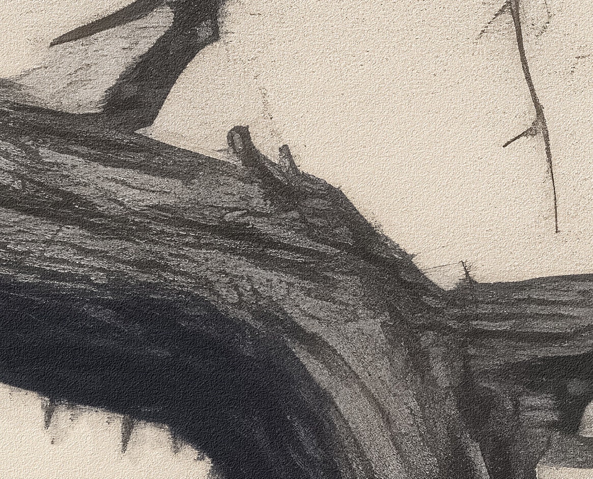 Cottagecore Tree Drawing Print, Pine Tree Poster, Botanical Tree Sketch ...