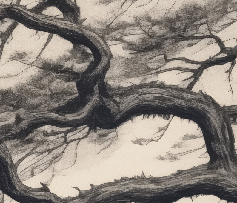 Cottagecore Tree Drawing Print, Pine Tree Poster, Botanical Tree Sketch ...