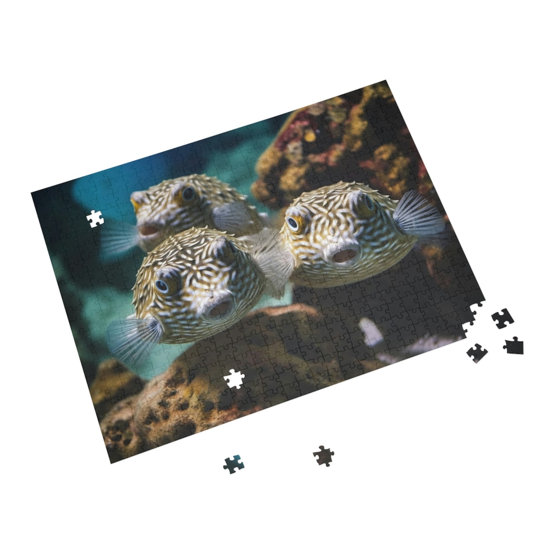 Pufferfish Paradise 500-1000 Pc Puzzle fundracialjustice - Etsy