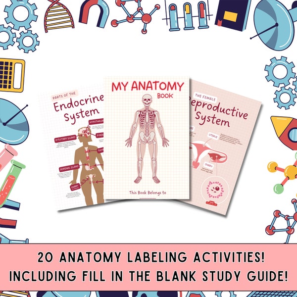 Human Anatomy Printable - Etsy