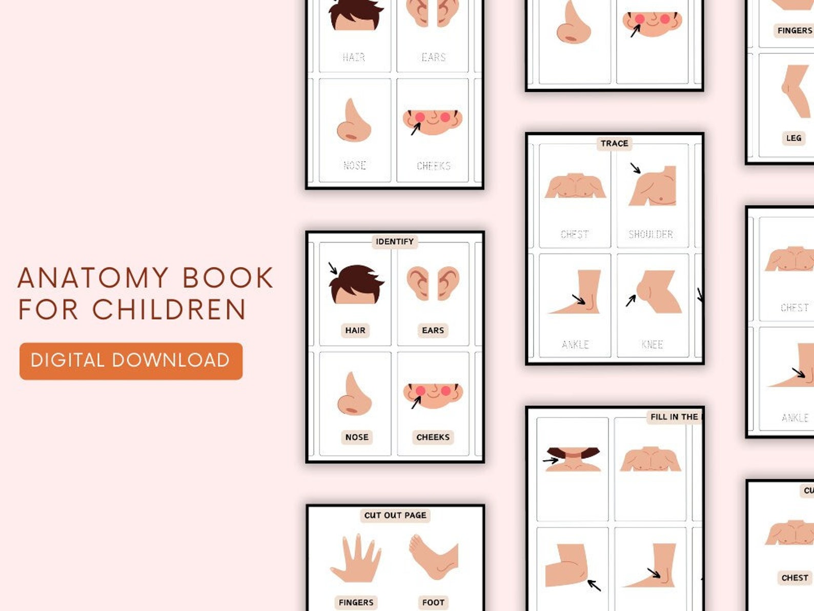 Human Anatomy Kids Busy Book, Instant Download, Kids Printable ...