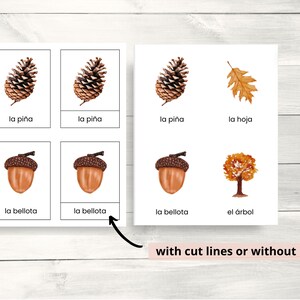Fall Spanish 3 Part Cards | Spanish Themed Printable Flashcards ...