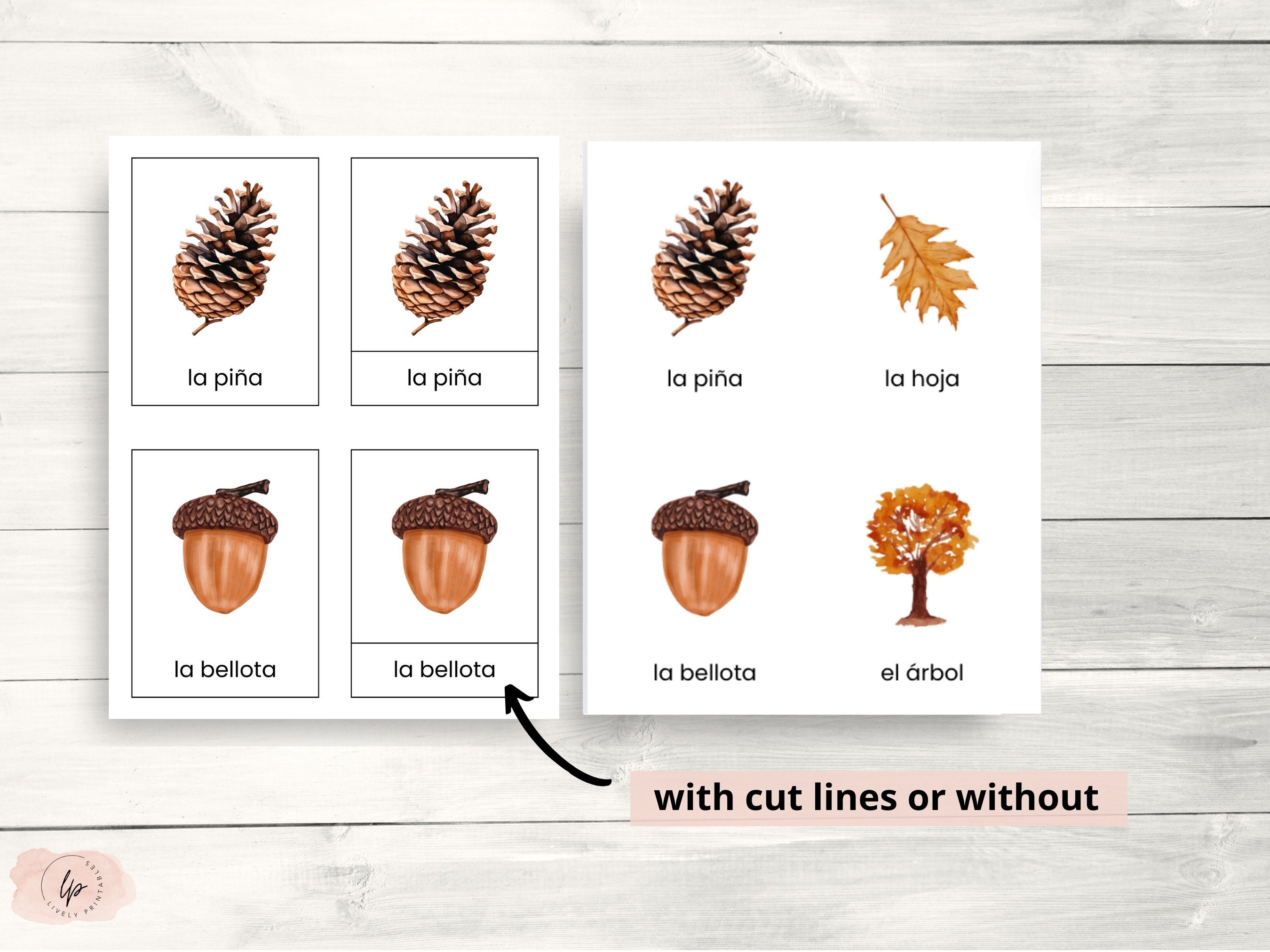 Fall Spanish 3 Part Cards | Spanish Themed Printable Flashcards ...