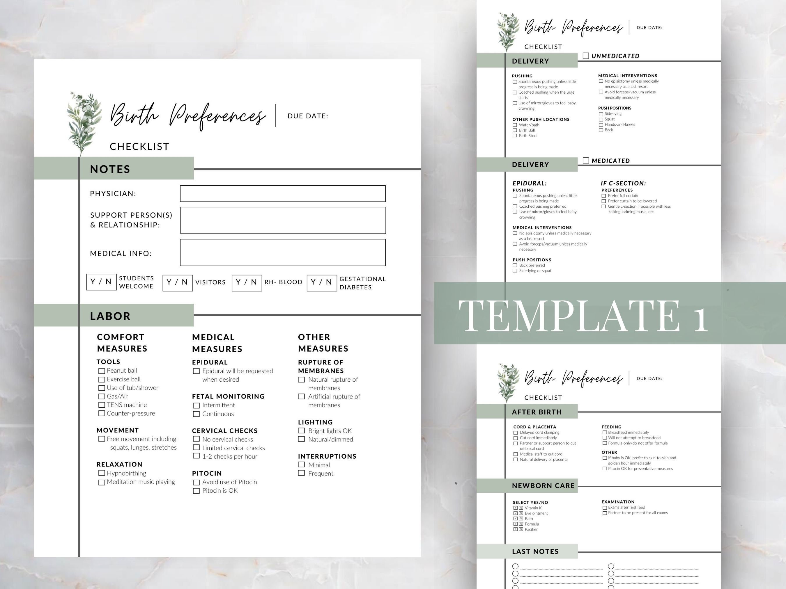 Birth Plan and Preferences Template — Imperfect Organization