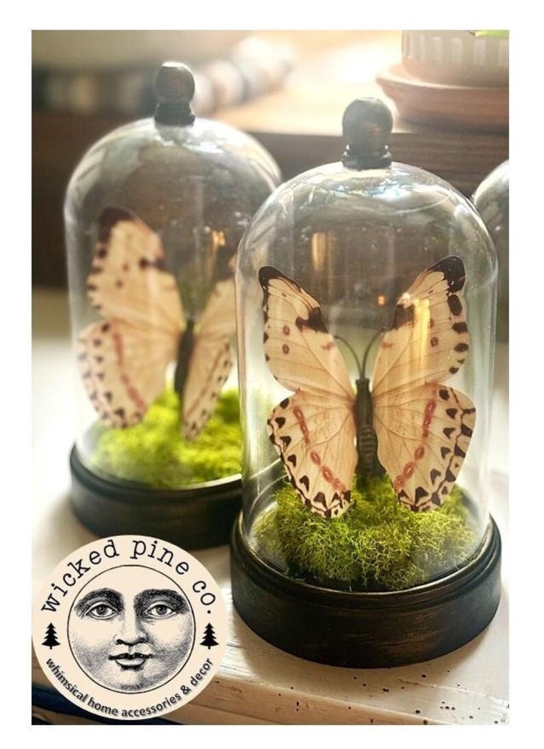 White Butterfly CLOCHE- Cottage Core Decor- Whimsical Decor - Etsy