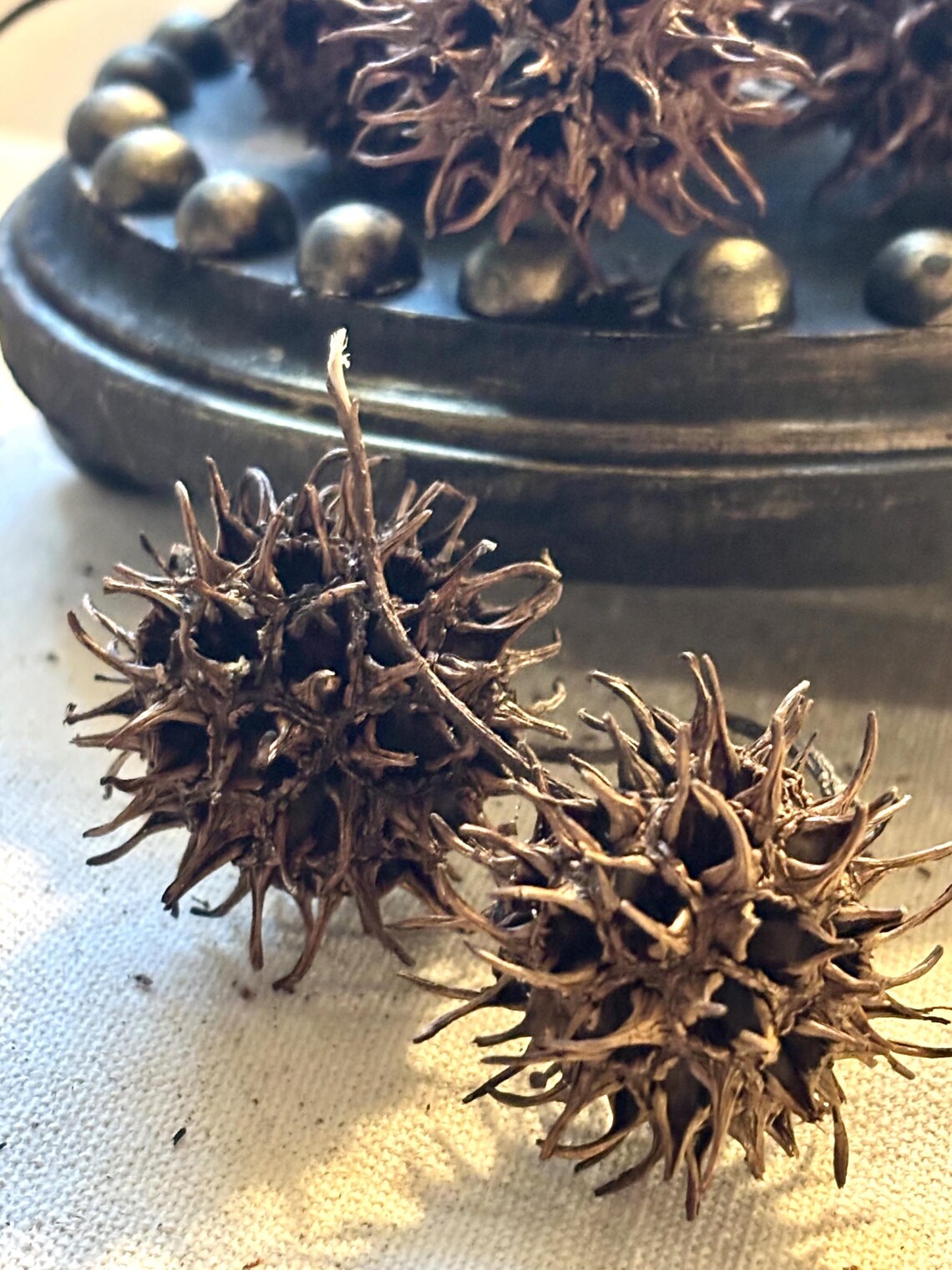 Witches Burrs- Sweet Gum Ball Seed Pods ***PACK OF 20*** - Etsy