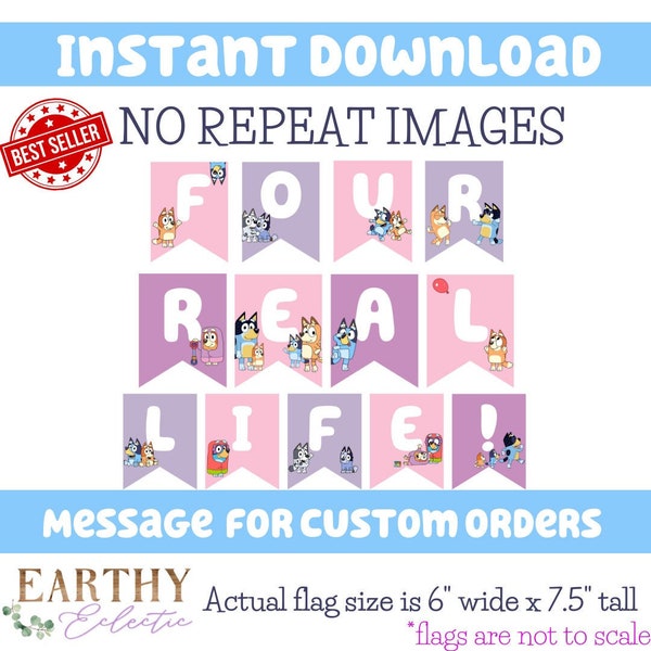 Four Real Life Bluey Birthday - Etsy