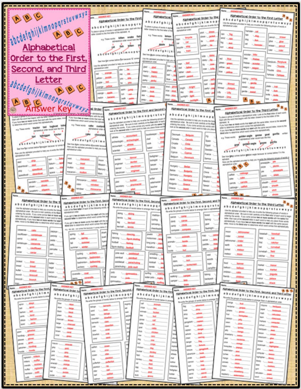20 Alphabetizing to the First, Second, and Third Letter Worksheets With ...