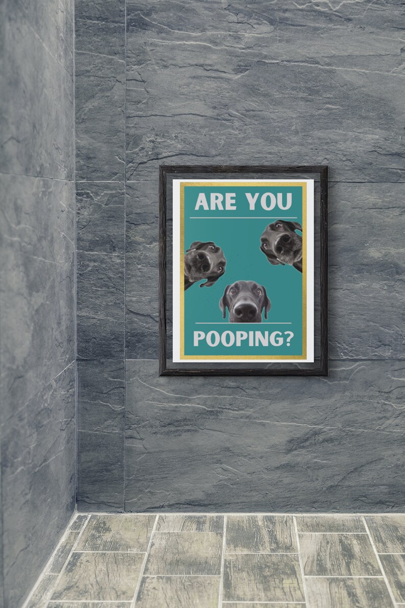 Are You Pooping Bathroom 3 German Shorthair Pointer Dogs - Etsy