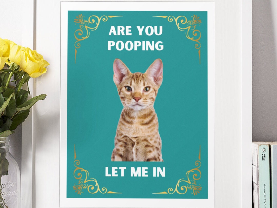 Are You Pooping Let Me In I Want in the Bathroom Curious - Etsy