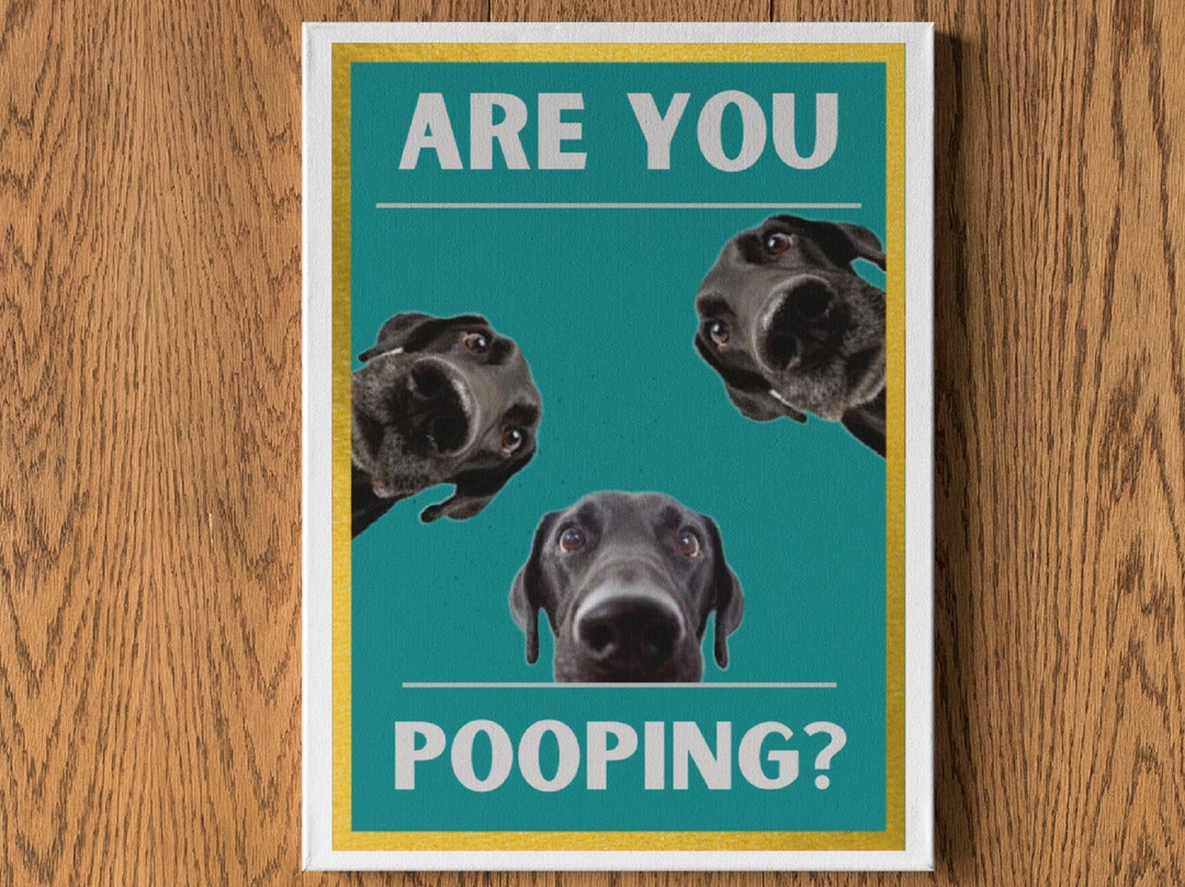 Are You Pooping Bathroom 3 German Shorthair Pointer Dogs - Etsy