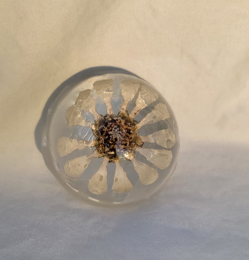 Handmade Dried Flower Resin Paperweights the Under Water - Etsy